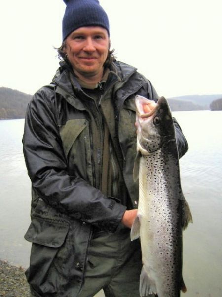 seeforelle - Alpines Angeln